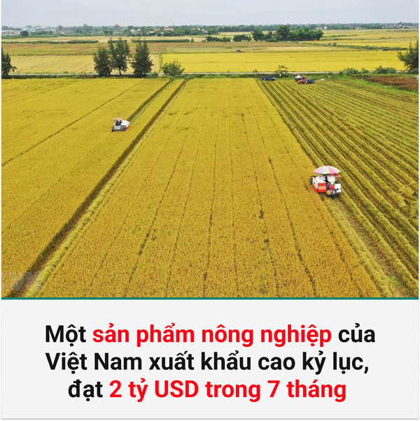 Soha.vn- MỘT SẢN PHẨM NÔNG NGHIỆP CỦA VIỆT NAM XUẤT KHẨU CAO KỶ LỤC ...